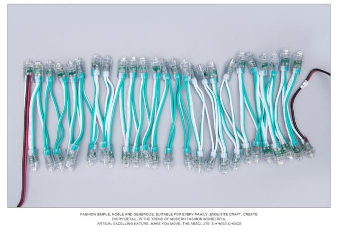 LED Pixels lights digital DC 5V LED Pixels Module Garden String Light ...