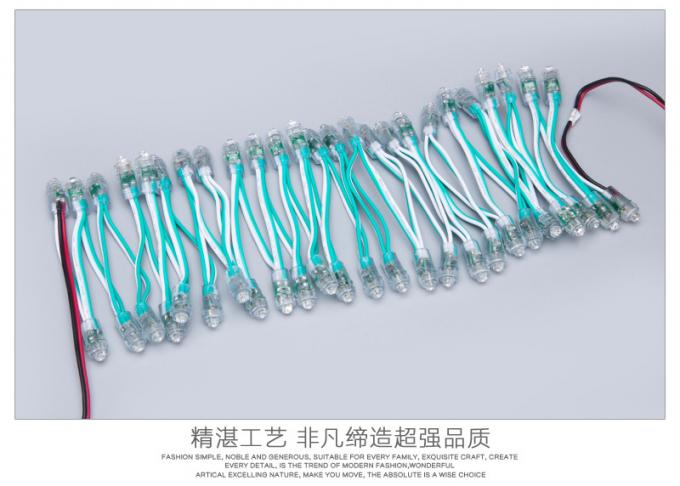 LED Pixels lights digital DC 5V LED Pixels Module Garden String Light ...